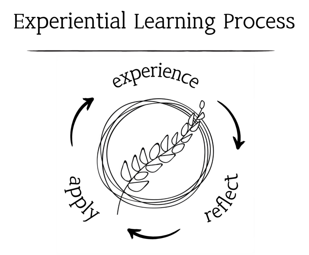 Experiential Learning